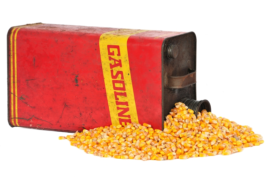 Corn is For Food, Not Fuel - IER