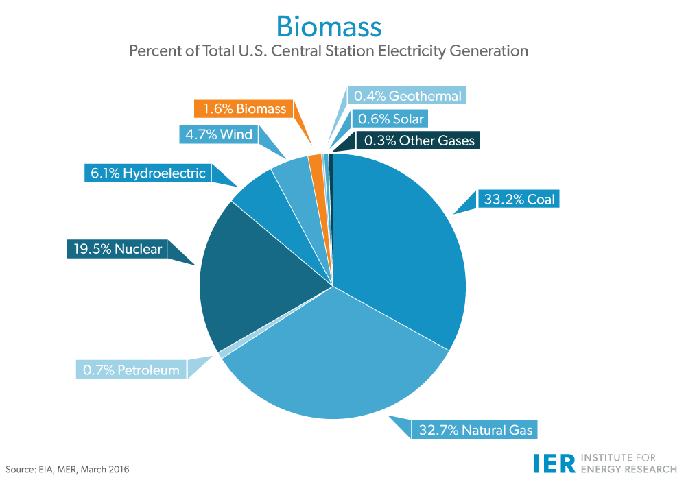 Biomass Ier