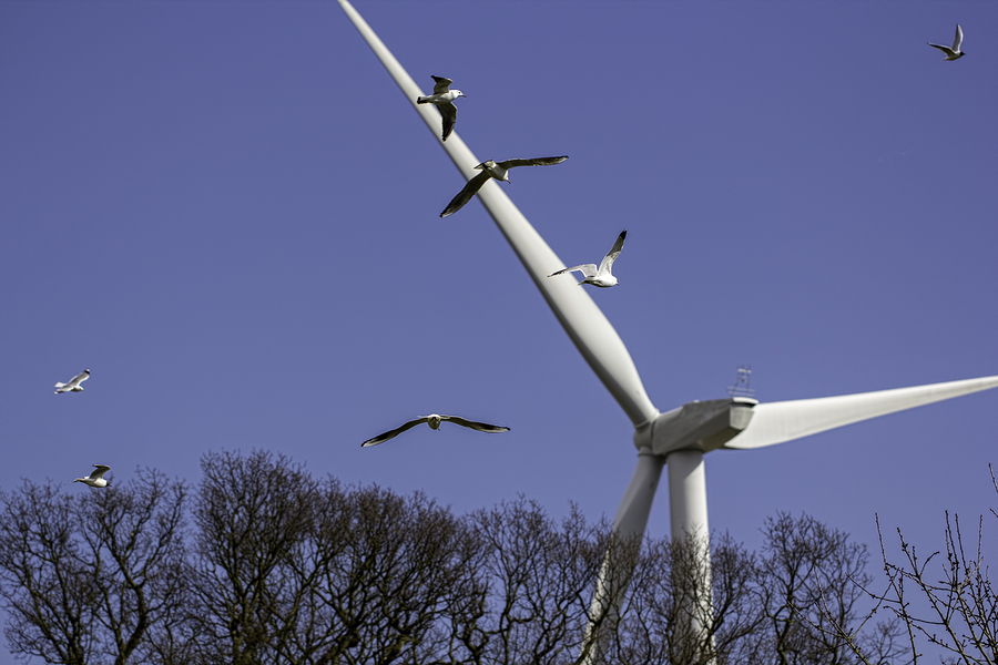 Wind Turbines Against Nature - IER